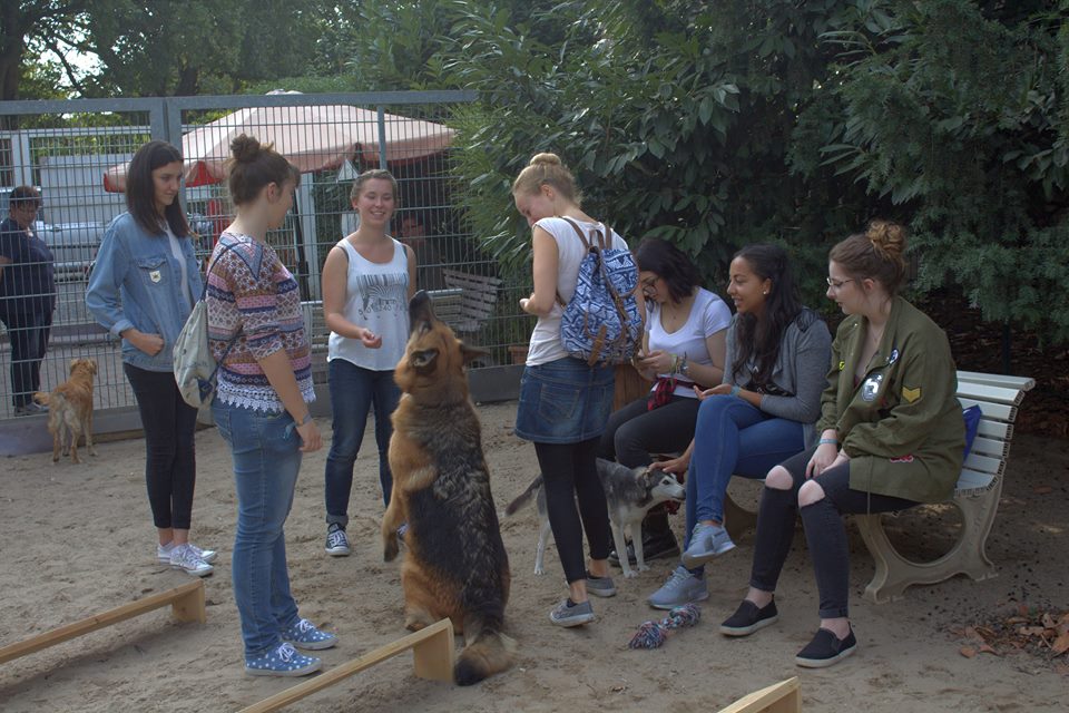 Besuch von der Hochschule Rhein Waal – Tierherberge Kamp-Lintfort ...