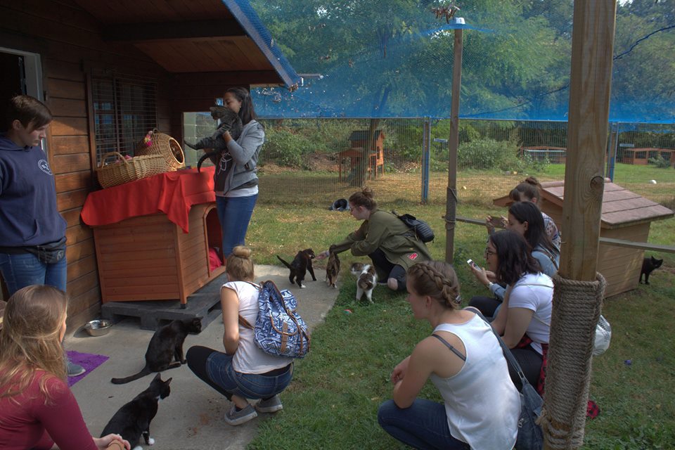 Besuch von der Hochschule Rhein Waal – Tierherberge Kamp-Lintfort ...